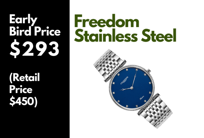 Celestine Watch: Fighting Modern Day Slavery | Indiegogo