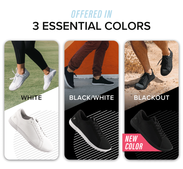 Flux Adapt | Indiegogo