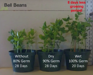 Easy Grow Food - Seed Rope & Bionoc | Indiegogo