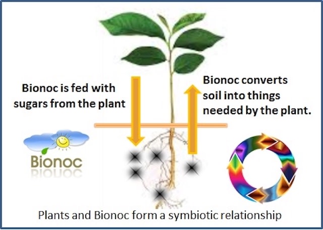 Easy Grow Food - Seed Rope & Bionoc | Indiegogo