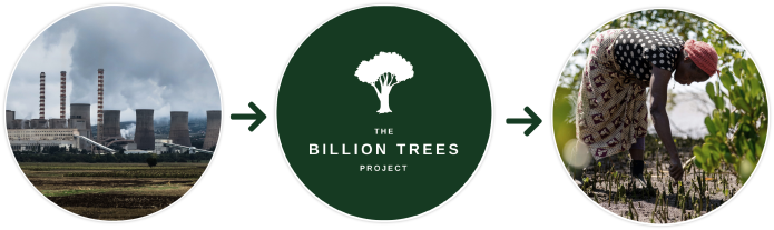 The Billion Trees Project | Indiegogo