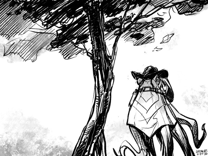 OCTOPUS COWBOY #1 | Indiegogo