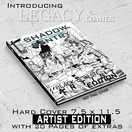 Shadow Sentry Book 1: Into the Eternal | Indiegogo