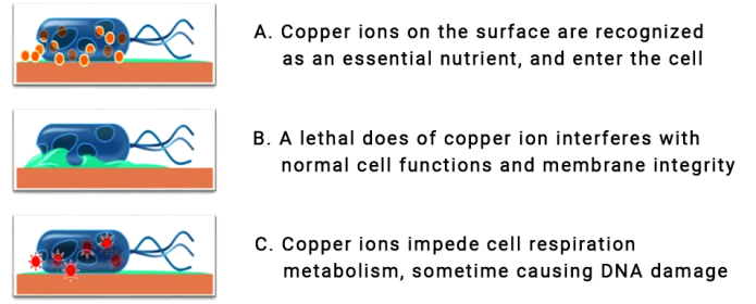 COPPER CLEAN WALLET | Indiegogo