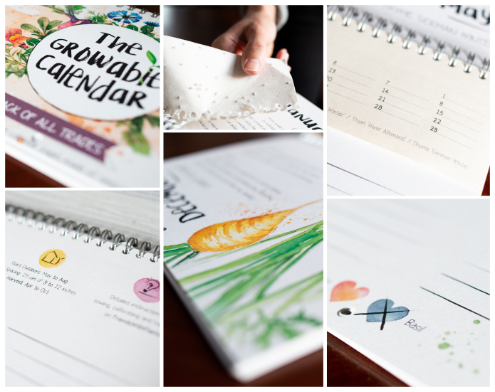 The Growable Calendar: Grow with your calendar! | Indiegogo