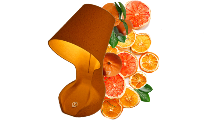 Ohmie The Orange Lamp: first orange peel's lamp | Indiegogo