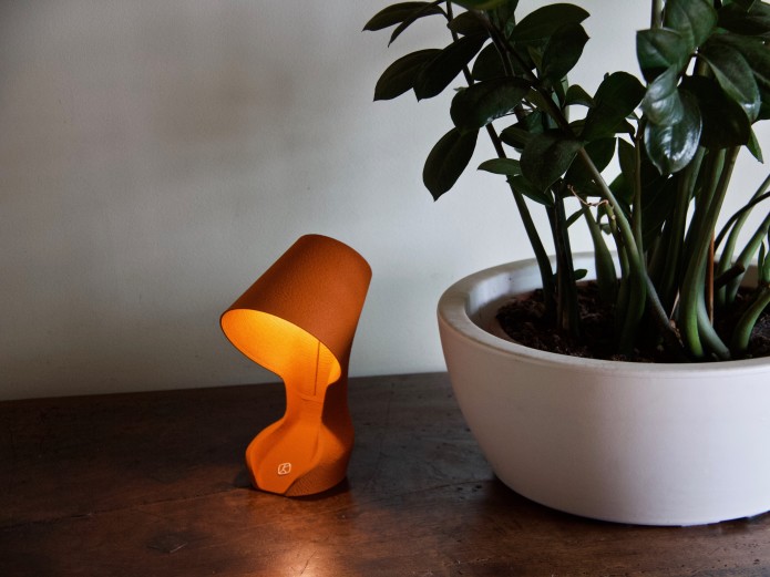 Ohmie The Orange Lamp: first orange peel's lamp | Indiegogo
