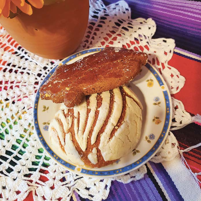 Conchita the Concha | Indiegogo