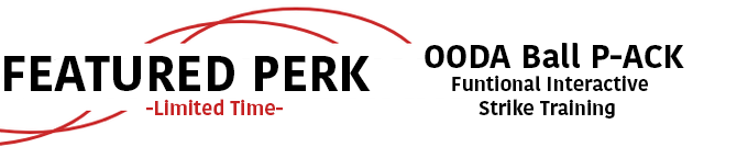 OODA Ball: World's first, free weight punching bag | Indiegogo