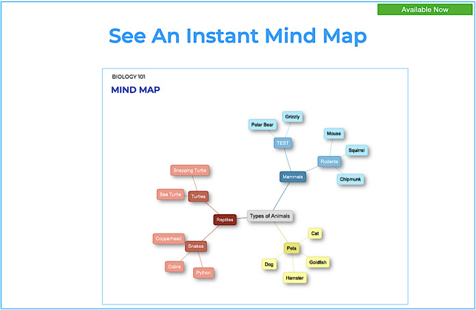 Braincat | Indiegogo