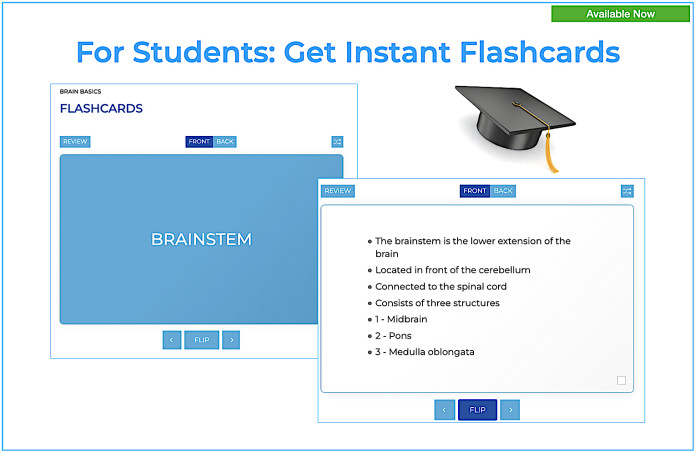 Braincat | Indiegogo