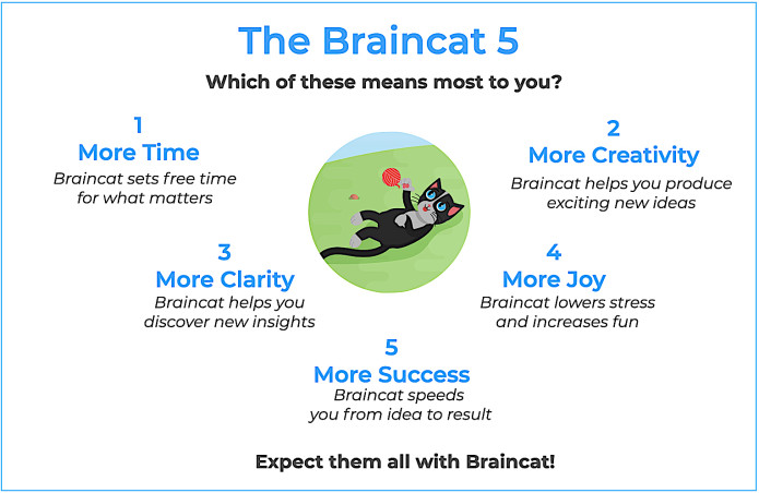 Braincat | Indiegogo