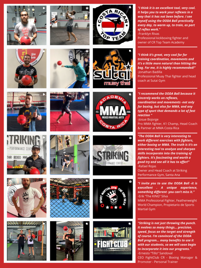 OODA Ball: World's first, free weight punching bag | Indiegogo