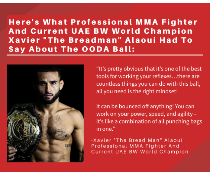 OODA Ball: World's first, free weight punching bag | Indiegogo