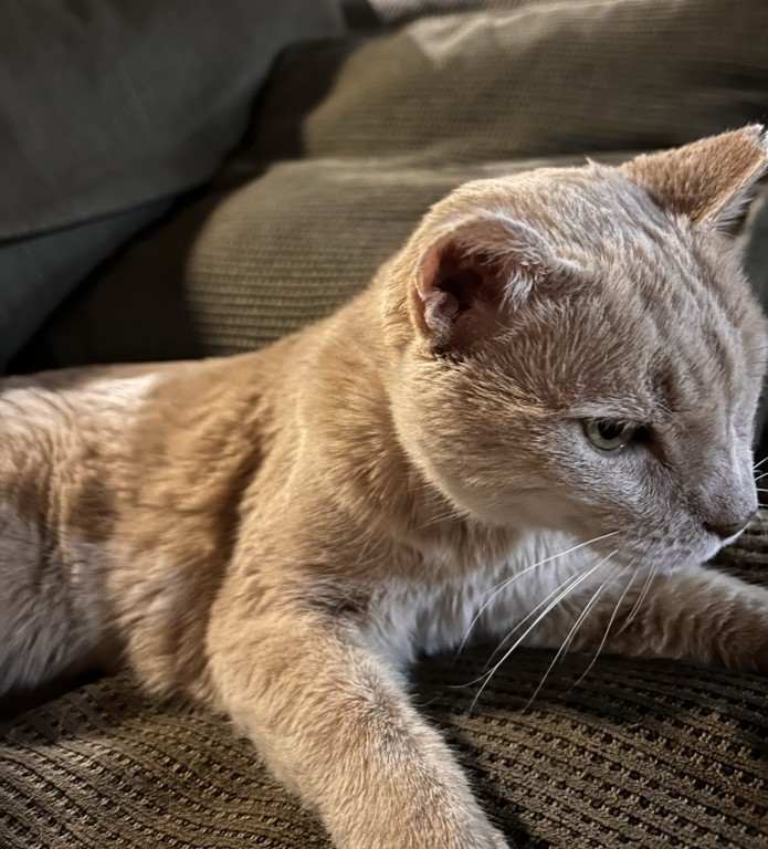 Snap & Weld 2022 | Indiegogo