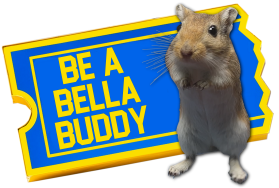 The Blockbuster Bella Show | Indiegogo