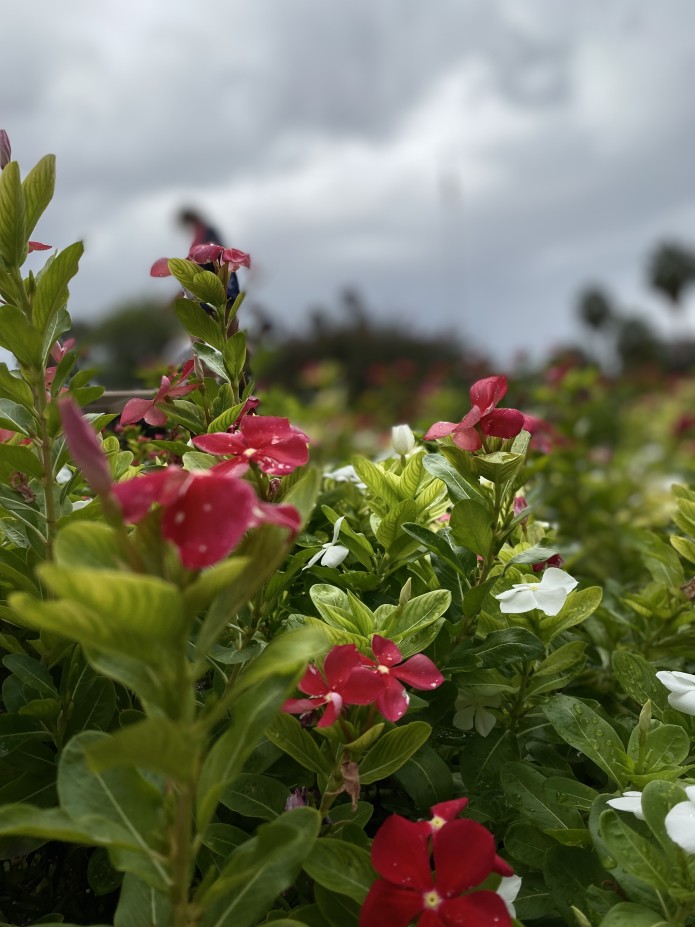 Snap & Weld 2022 | Indiegogo