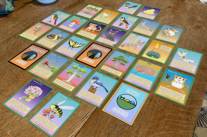 Nature Kin: A Collaborative Card Game | Indiegogo