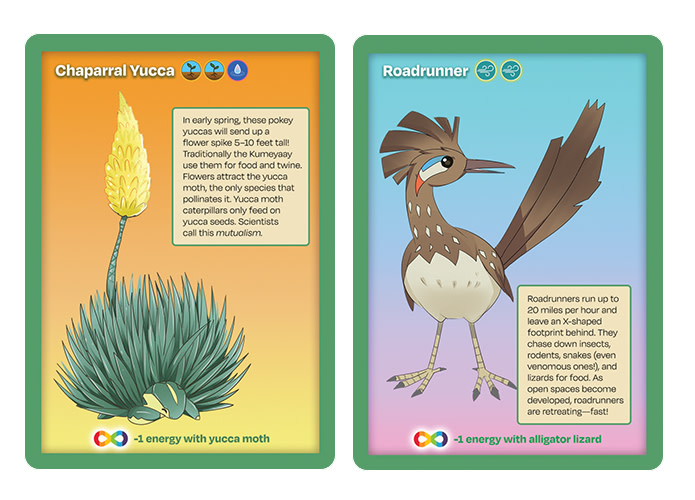 Nature Kin: A Collaborative Card Game | Indiegogo