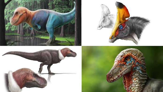 EX TERRA | Indiegogo