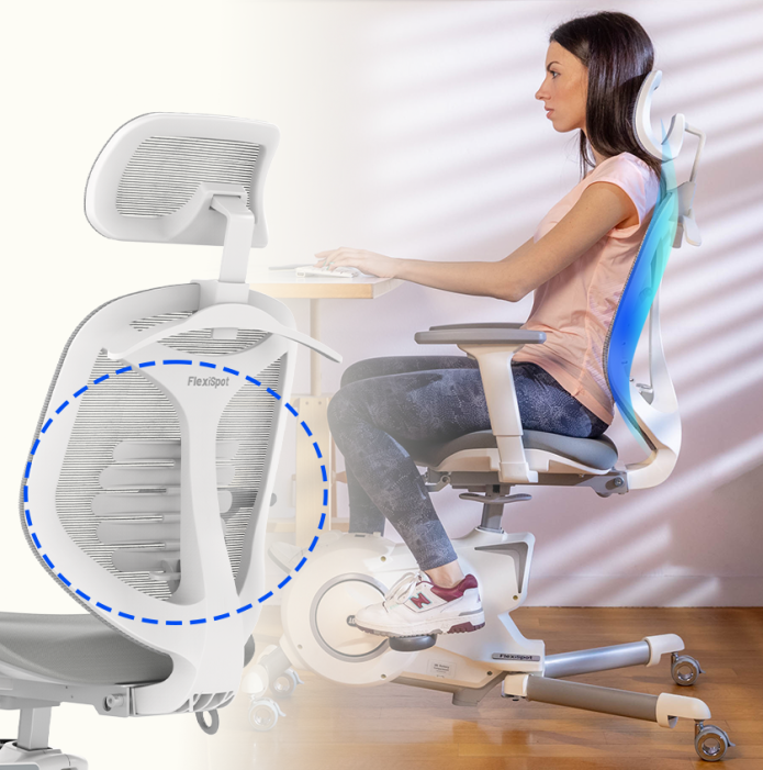FlexiSpot V6: The Intelligent Office Fitness Chair | Indiegogo