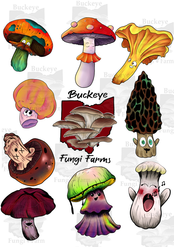 Buckeye Fungi Farm | Indiegogo