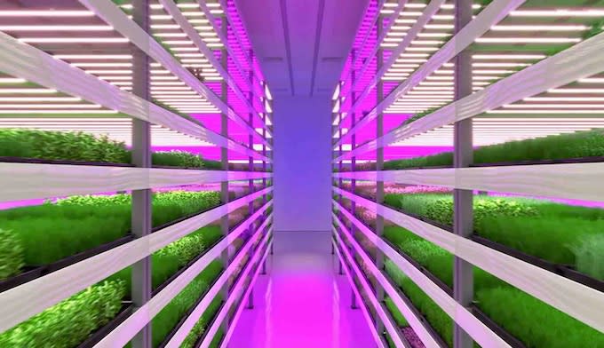 Garden Stack: Vertical Farming from Home | Indiegogo