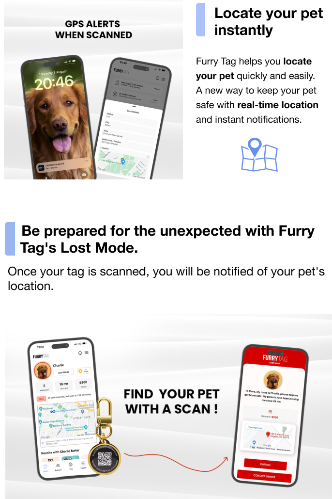 Furry Tag : The Most Advanced and Safest Pet Tag | Indiegogo