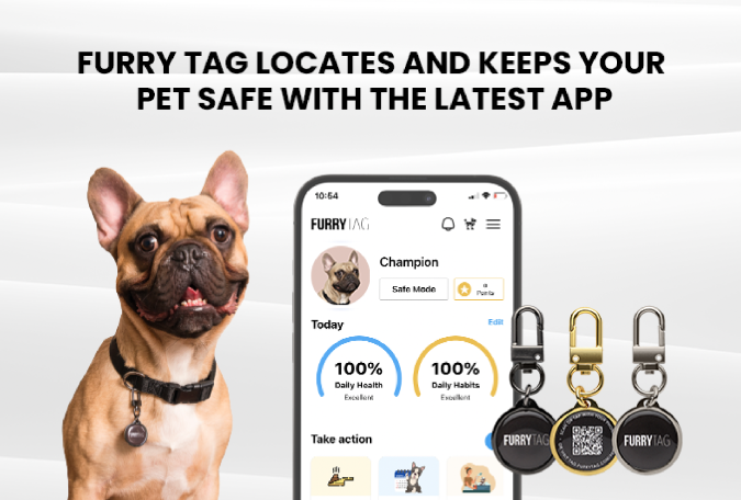 Furry Tag : The Most Advanced and Safest Pet Tag | Indiegogo