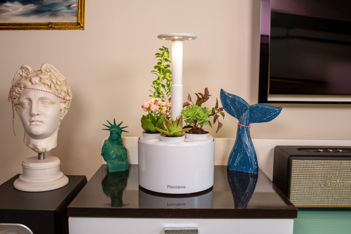 Plantone 2.0: Unleash Your Green Thumb | Indiegogo