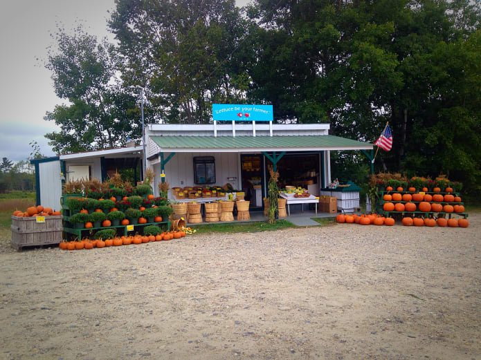 The Microfarm: Organic Gardening for Anyone | Indiegogo